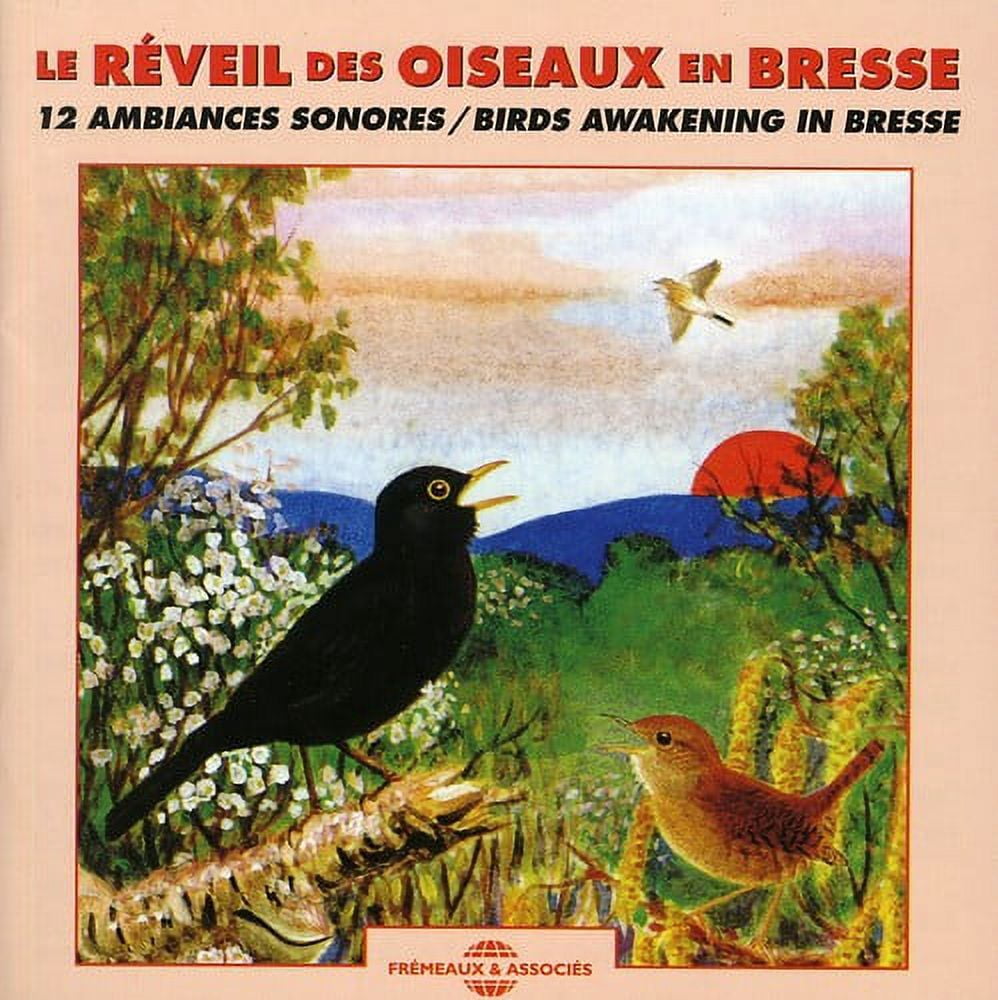 Oiseaux - Birds Awakening In Bresse - Soundtracks - CD - Walmart.com