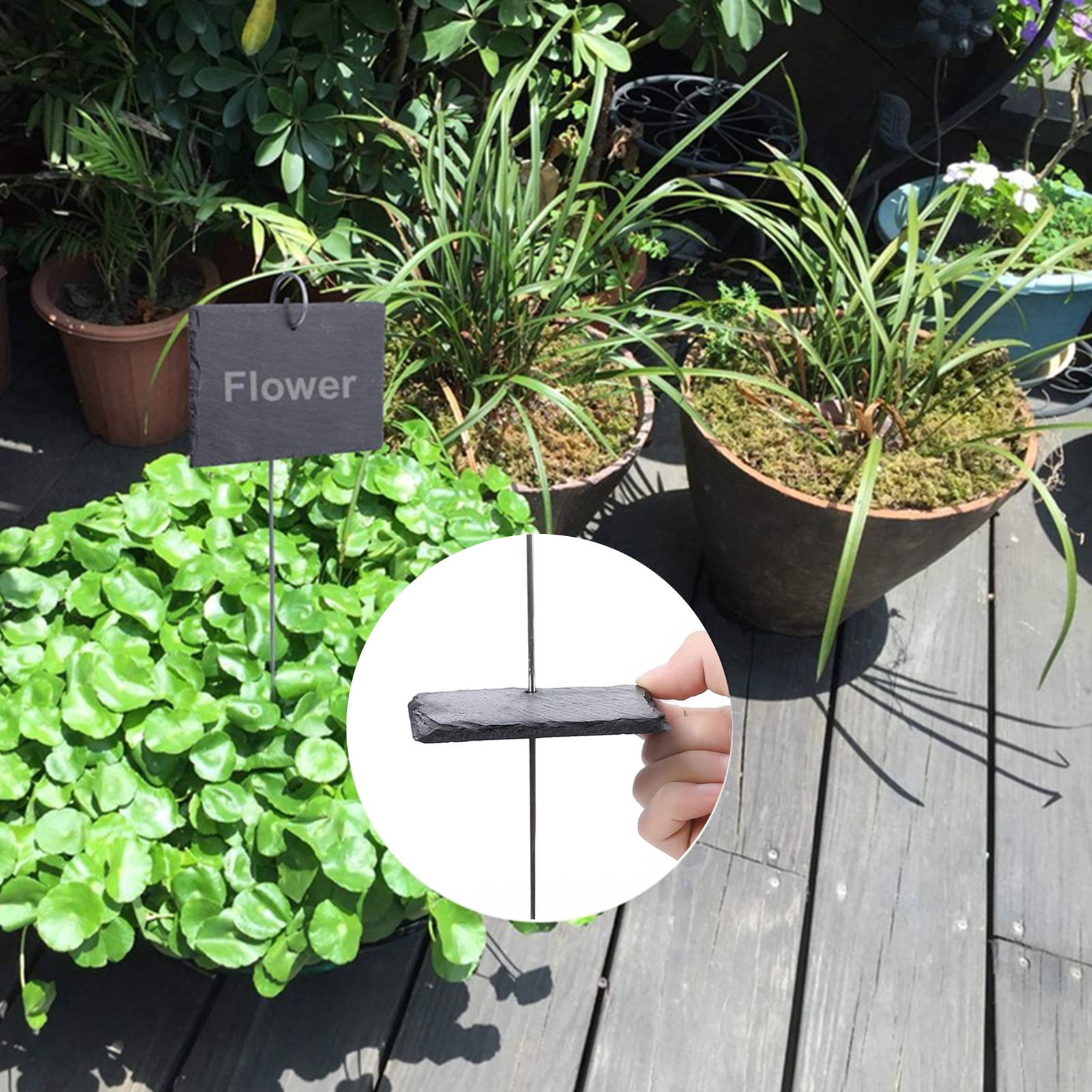 Oiur 20Pcs Plant Label Hooks Garden Plant Sign Hooks Hanging Rods ...
