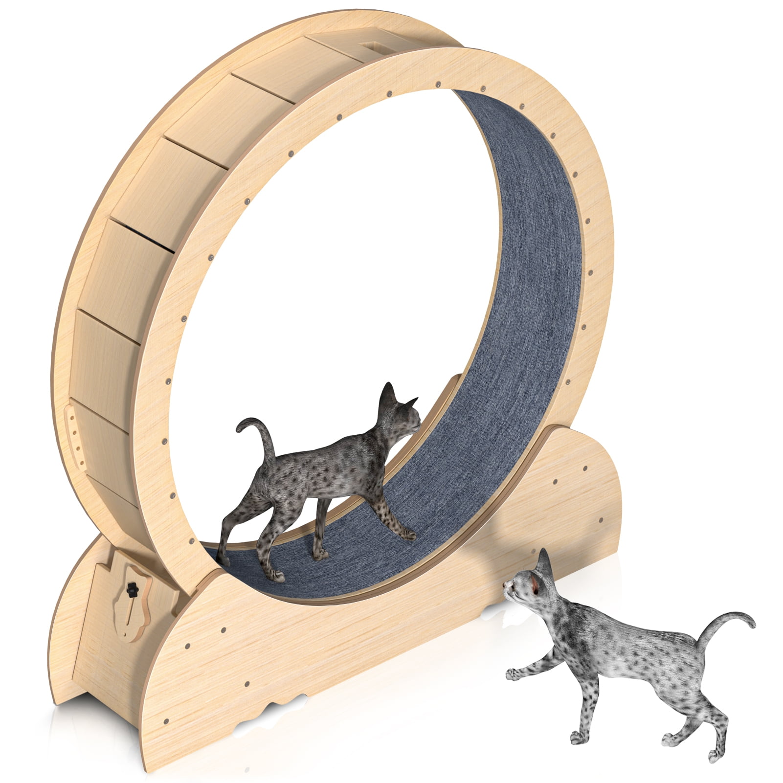 Oiur Cat Wheel,46 inch Large Round Shape Cat Treadmill,Cat Exercise ...