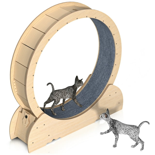 Oiur Cat Wheel,46 inch Large Round Shape Cat Treadmill,Cat Exercise ...