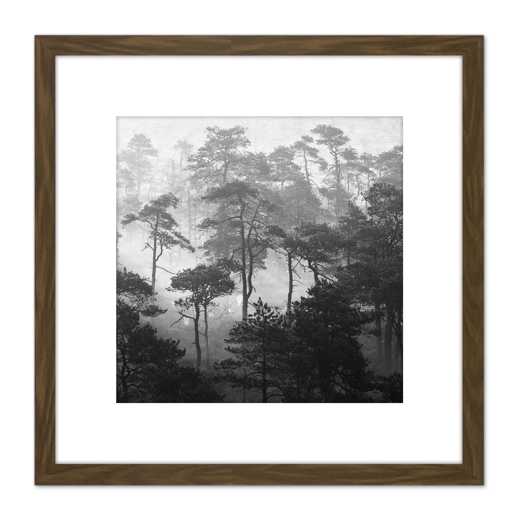 Oja Lindi Nature Reserve Estonia Forest Trees Photo 8X8 Inch Square ...