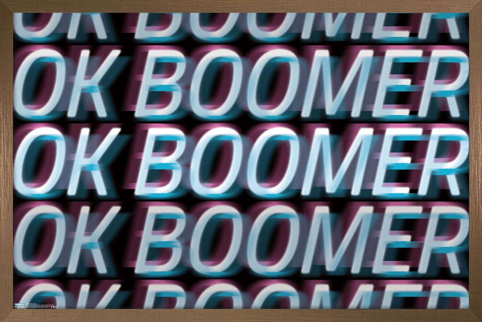 Ok Boomer Wall Poster, 22.375" x 34", Framed - Walmart.com