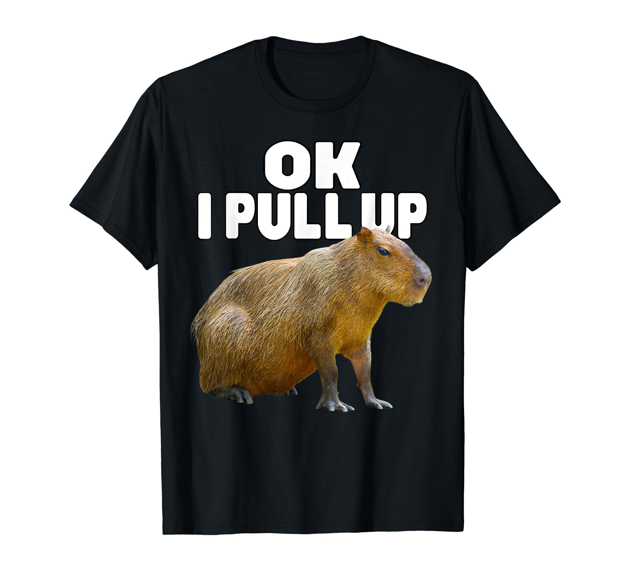 Ok I Pull Up Capybara Funny Capybara Lover Dank Meme T-Shirt - Walmart.com