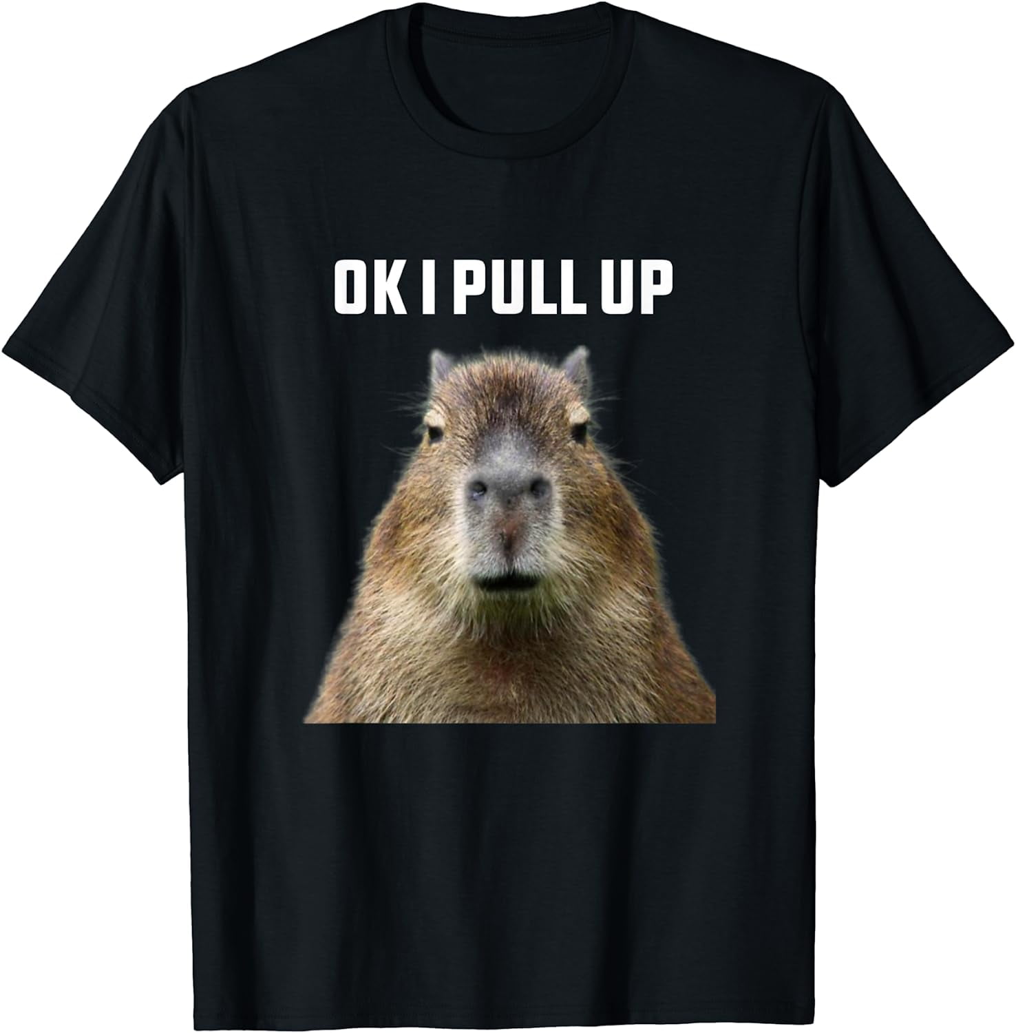 Ok I Pull Up Capybara T-Shirt - Walmart.com