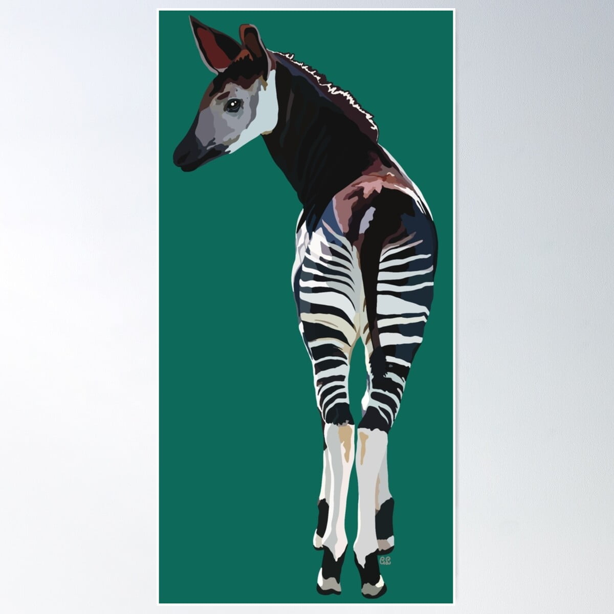 Okapi (Okapia Johnstoni) Poster Wall Art, Modern Wall Decor For Living Room Bedroom, 8x12 ...