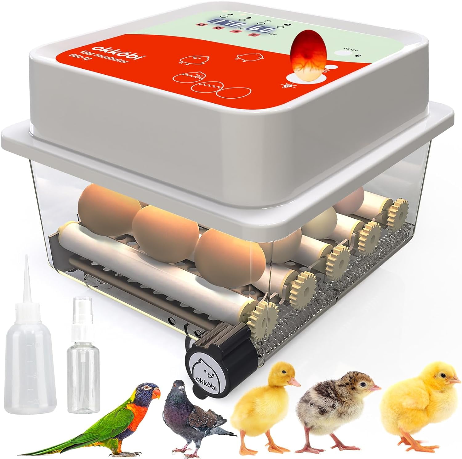 Okköbi OBI-12 Egg Incubator for Hatching Chickens, Ducks & Other Birds ...