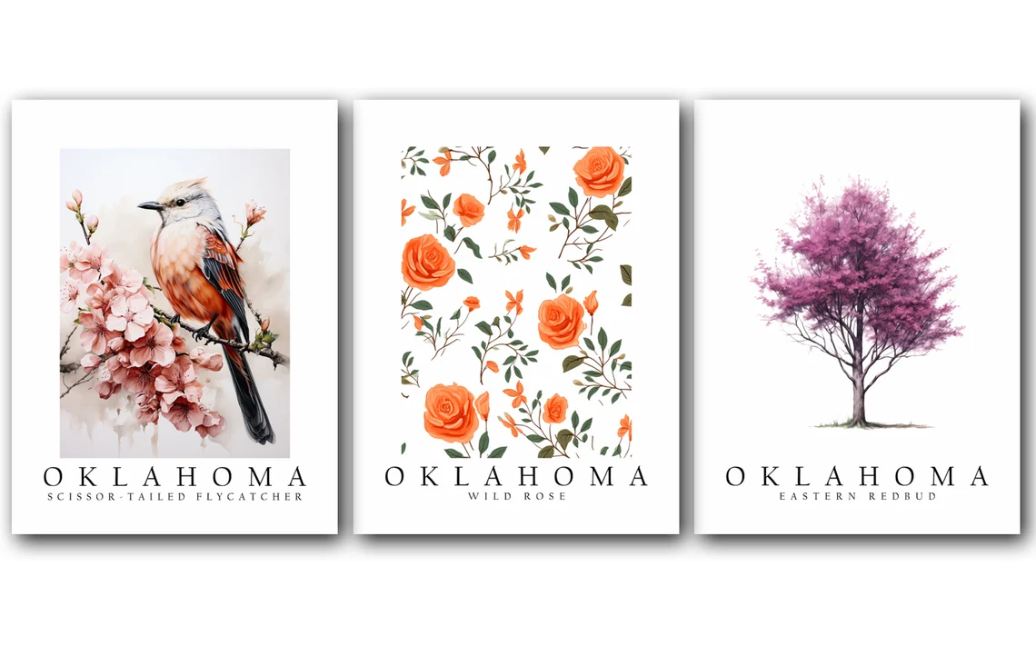 Oklahoma State Bird Scissor Tailed Flycatcher, State Tree Eastern ...