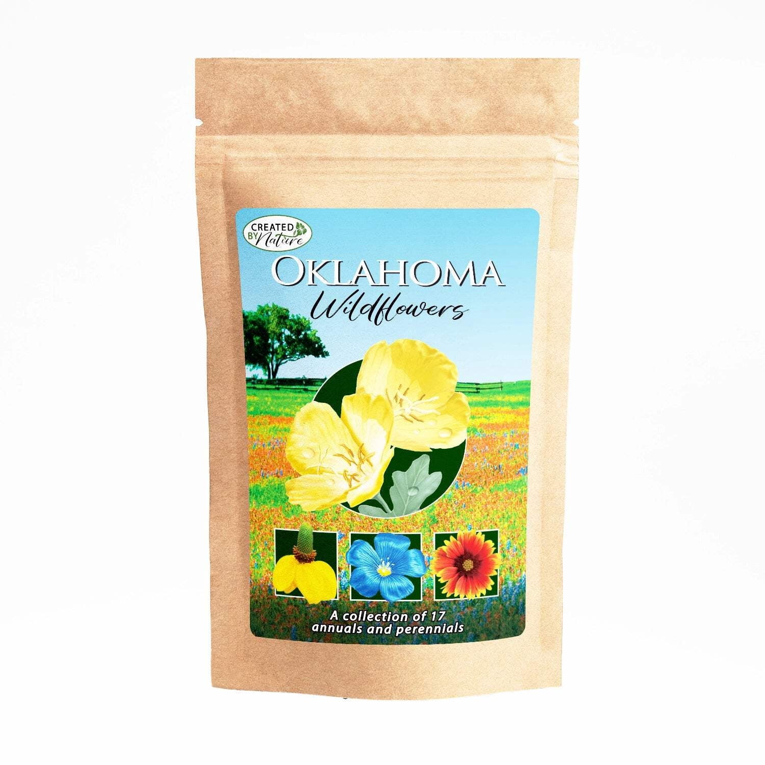 Oklahoma Wildflower Seed Mix, Covers 325 Sq Ft, 17 Flower Varieties ...