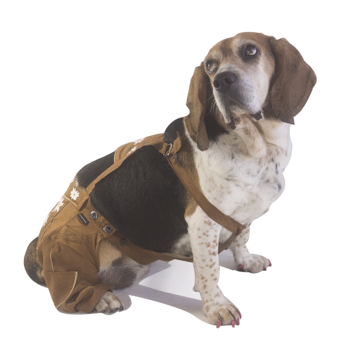 Oktoberfest German Dog Lederhosen Outfit Costume MEDIUM by EINSZWEIDOG ...