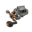Daiwa Lexa 100 Fishing Line Counter Reel with 4+1 Bearings, 6.3:1 Gear ...
