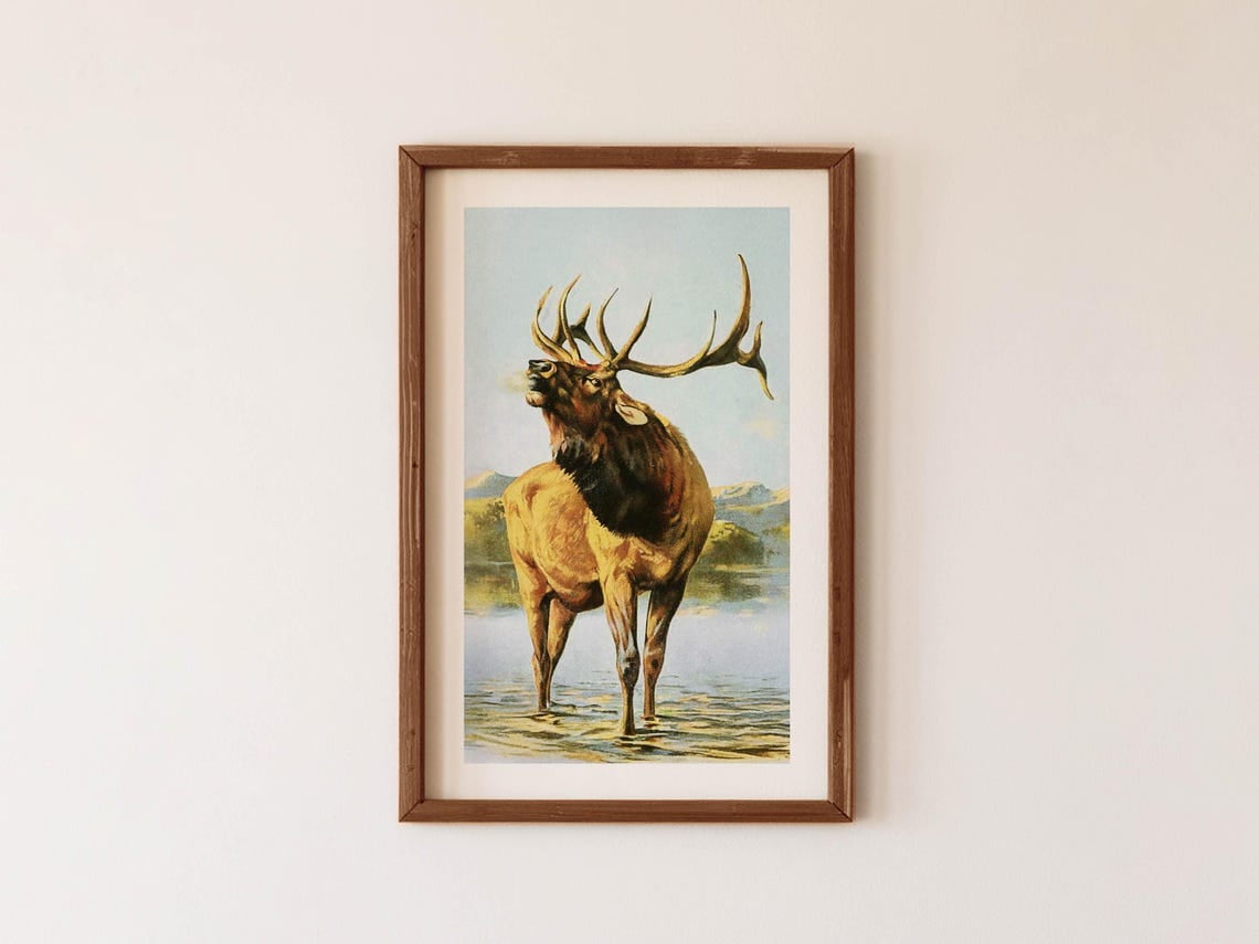 Old Buck Print Gift For Hunter Retro Deer Hunting Art Poster Hunting ...
