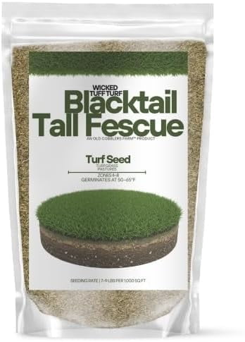 Old Cobblers Farm™ Wicked Tuff Turf Blacktail Tall Fescue - Deep Green ...