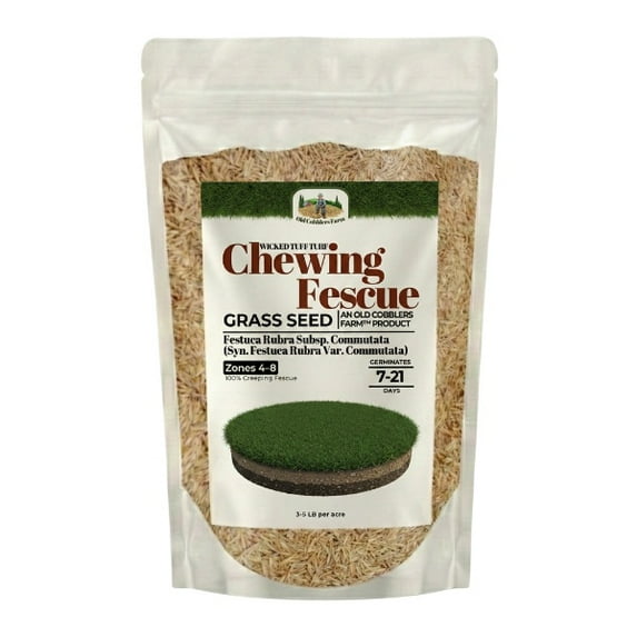 Old Cobblers Farm™ Wicked Tuff Turf Chewings Fescue (Grasses) (5 lbs ...