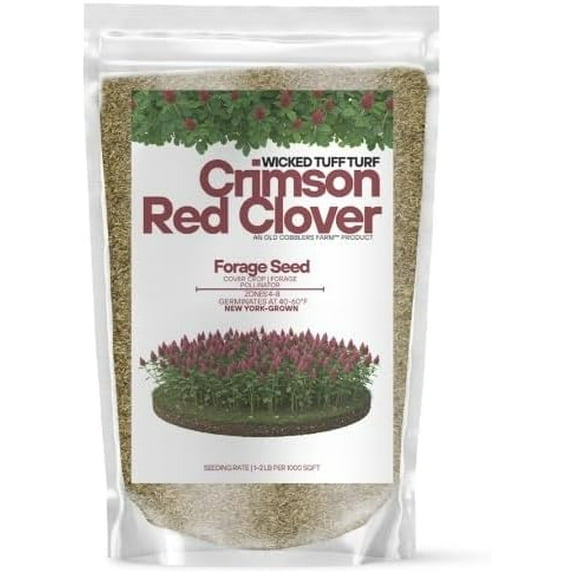 Old Cobblers Farm™ Wicked Tuff Turf Crimson Red Clover (New York-grown ...