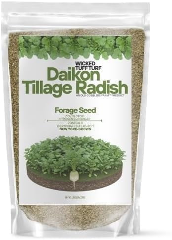 Old Cobblers Farm™ Wicked Tuff Turf Daikon Tillage Radish (New York ...