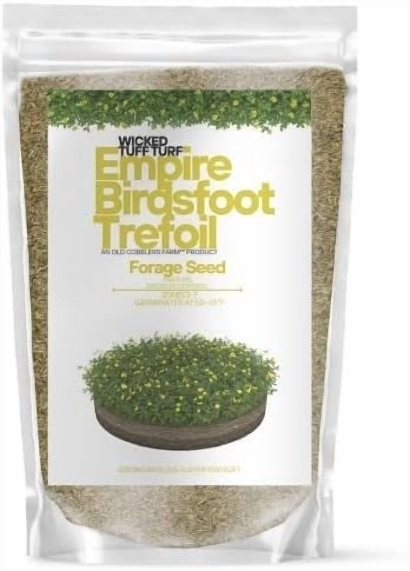 Old Cobblers Farm™ Wicked Tuff Turf Empire Birdsfoot Trefoil - Hardy ...