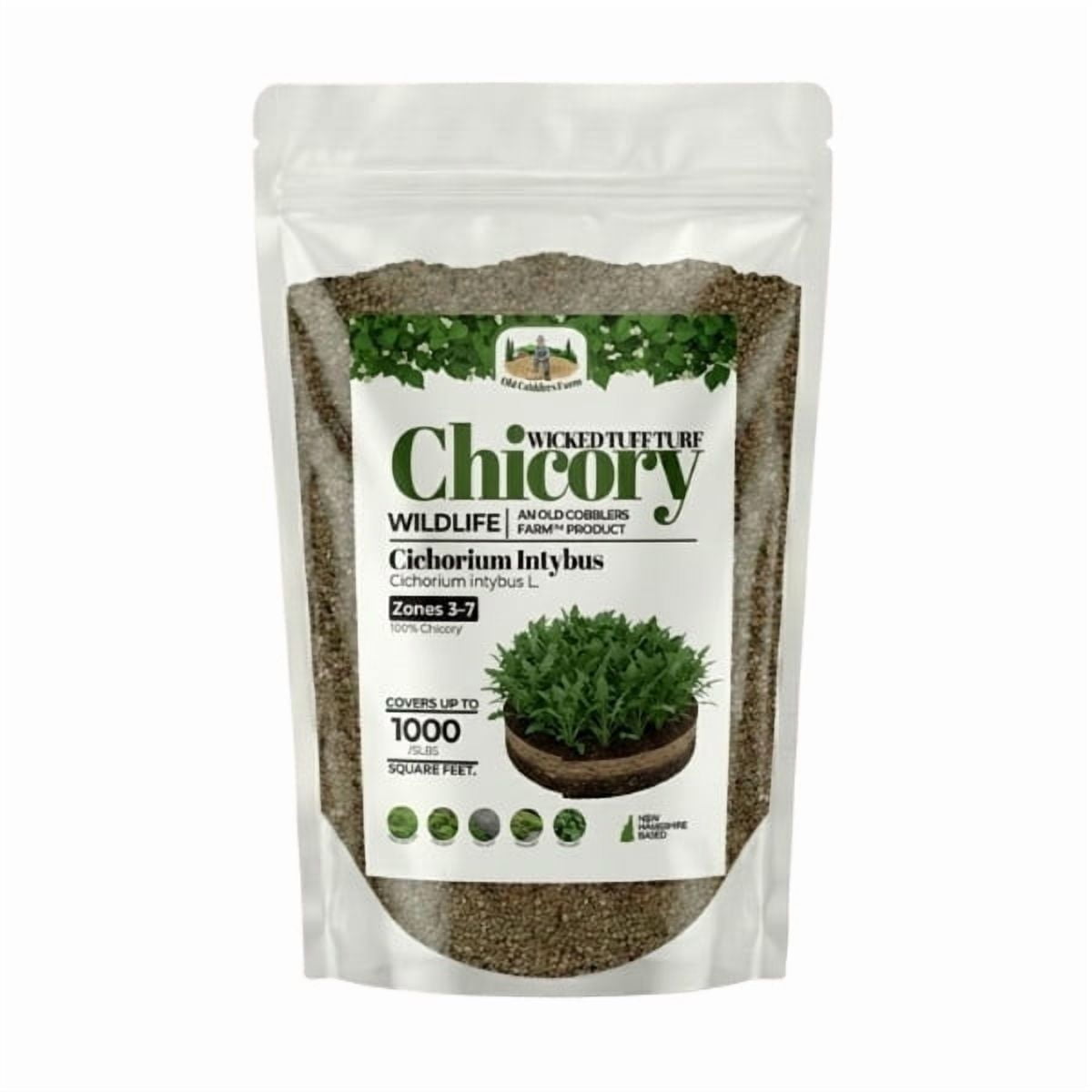 Old Cobblers Farm™ Wicked Tuff Turf Endure Chicory - Nutritious, Hardy ...