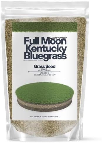 Old Cobblers Farm™ Wicked Tuff Turf Full Moon Kentucky Bluegrass ...