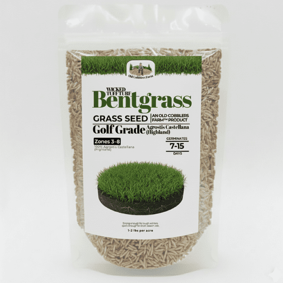 Old Cobblers Farm™ Wicked Tuff Turf Highland Bentgrass - Fine-Textured ...