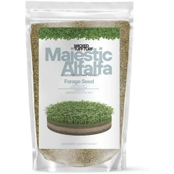 Old Cobblers Farm™ Wicked Tuff Turf Majestic Alfalfa - Premium Forage ...