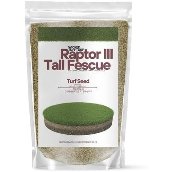 Old Cobblers Farm™ Wicked Tuff Turf Raptor III Tall Fescue - Fast ...