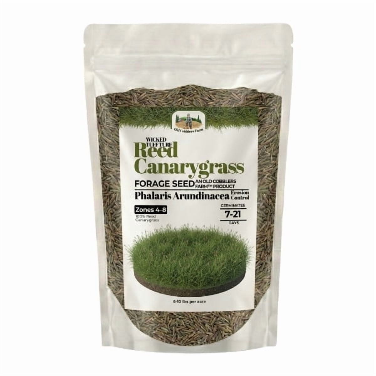 Old Cobblers Farm™ Wicked Tuff Turf Reed Canarygrass - Resilient Grass ...