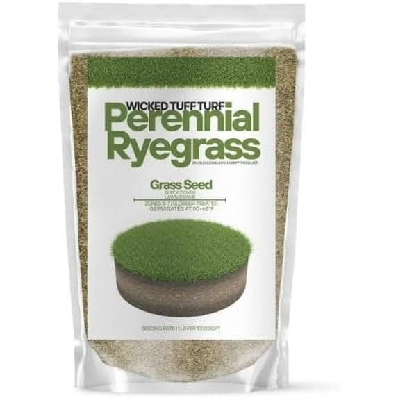 Old Cobblers Farm™ Wicked Tuff Turf Tri Rye Perennial Ryegrass Blend ...