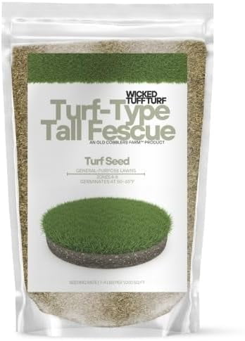 Old Cobblers Farm™ Wicked Tuff Turf Turf-Type Tall Fescue (Variety Not ...