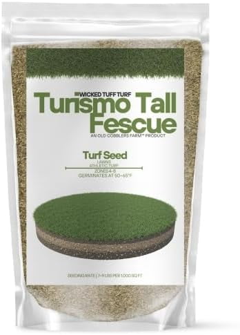 Old Cobblers Farm™ Wicked Tuff Turf Turismo Tall Fescue – Quick ...