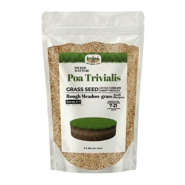 Old Cobblers Farm™ Wicked Tuff Turf Poa Trivialis (Grasses) (5 lbs | 10 ...