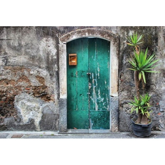 Old Deserted Brick Wall Arch Wood Door Photography Background Child ...