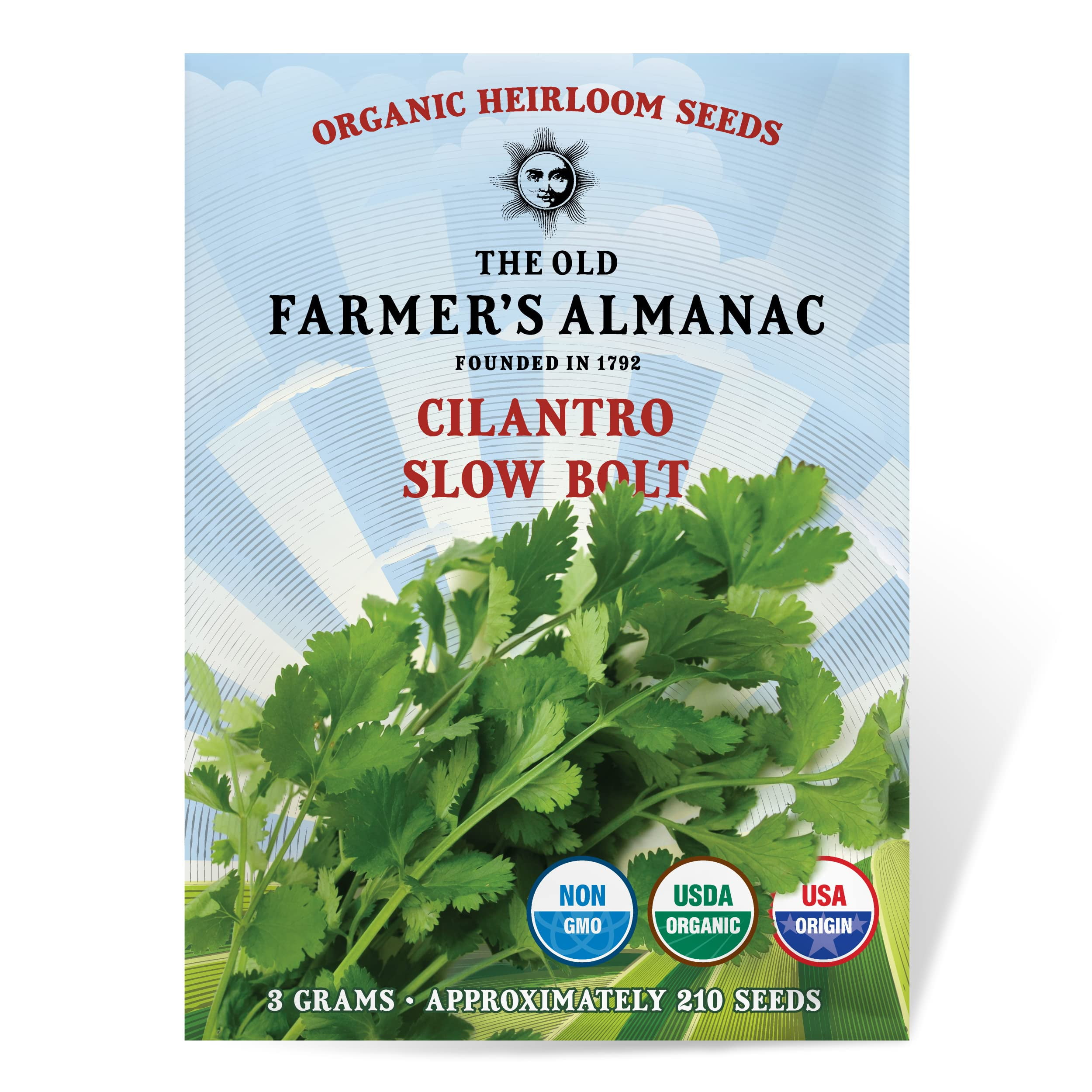 The Old Farmer's Almanac Heirloom Organic MVR1 Cilantro Seeds (Slow Bolt) - Approx 180 Seeds ...