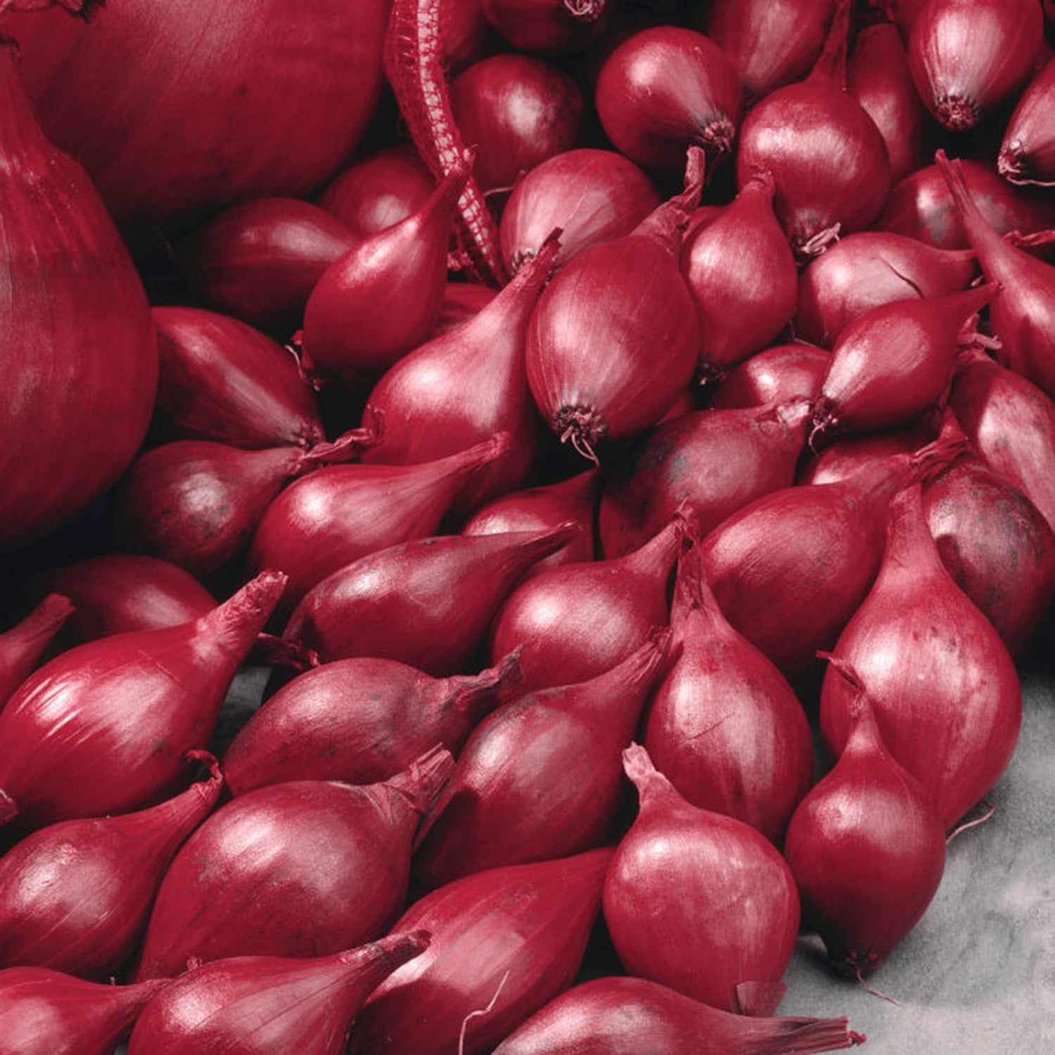 Old Farmer's Almanac Onion Sets Red Baron 90CT - Walmart.com