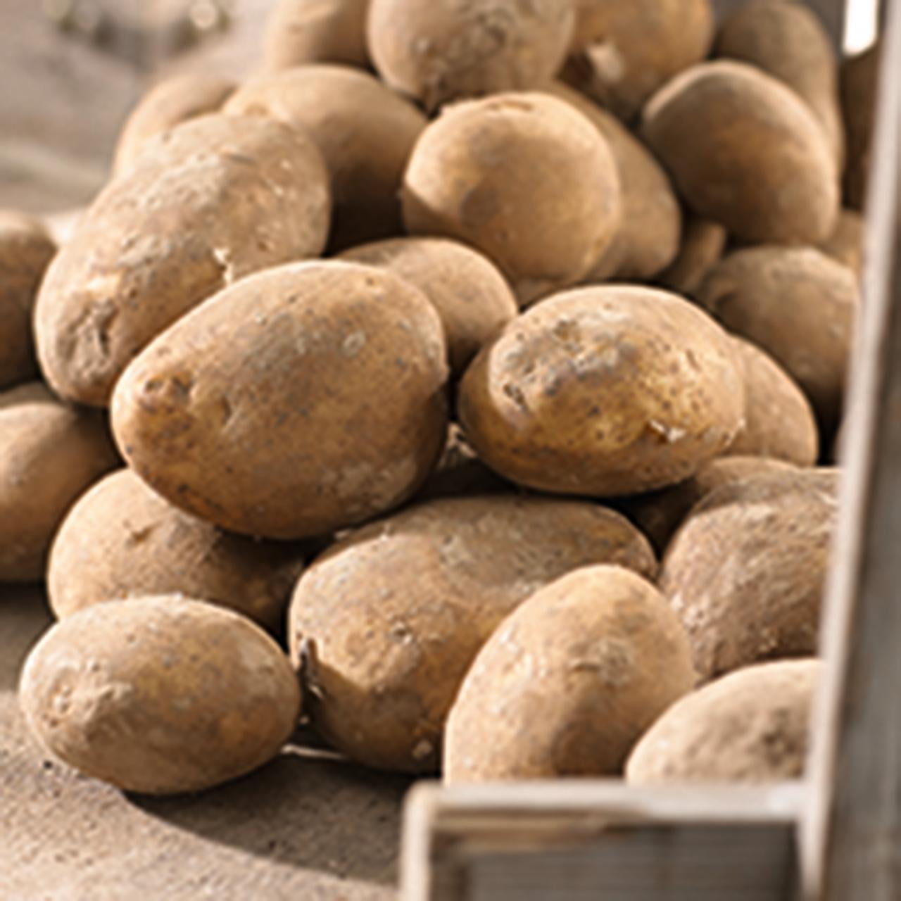 Old Farmer's Almanac Seed Potato Kennebec 5CT - Walmart.com