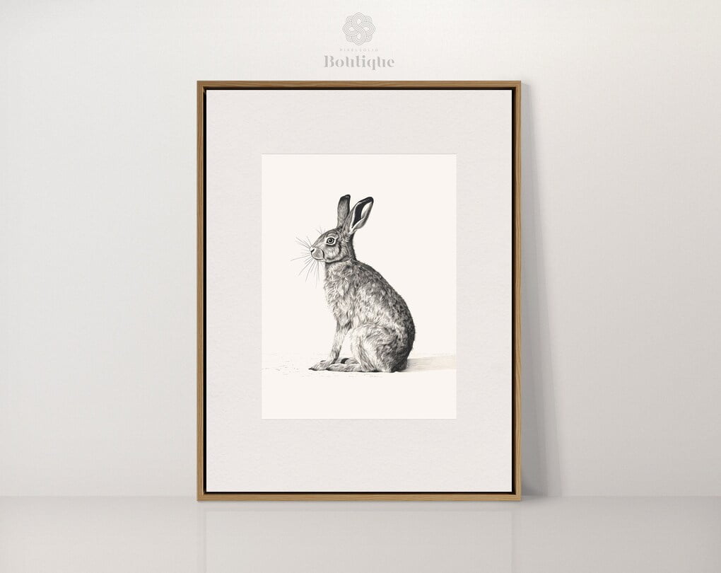 Old-Fashioned Etching Of Rabbit, Antique Art, Soft Decor For Rustic ...