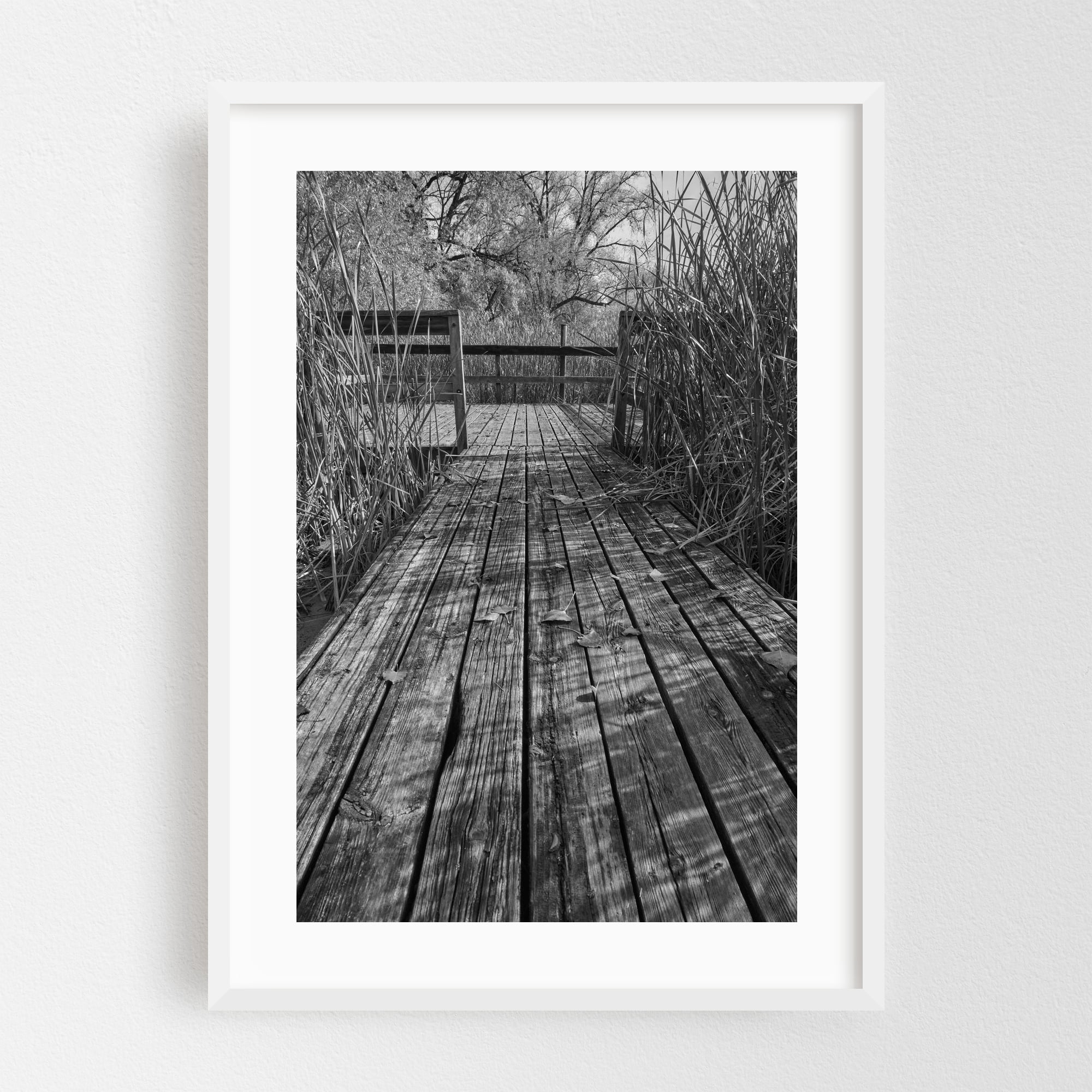 Old Fishing Dock - Minneapolis Minnesota Photography Boardwalk Nature ...