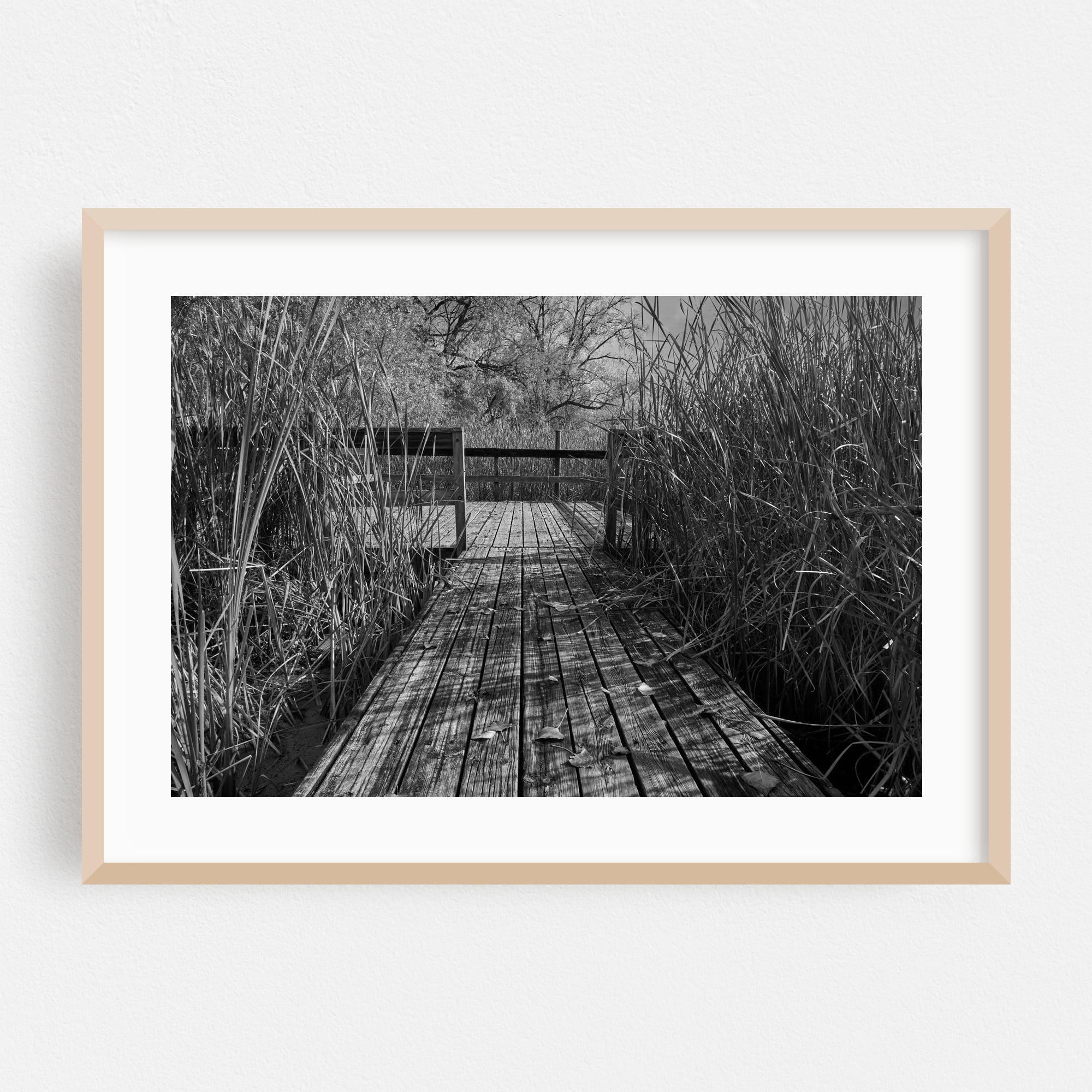 Old Fishing Dock - Photography Black and White Boardwalk Nature ...