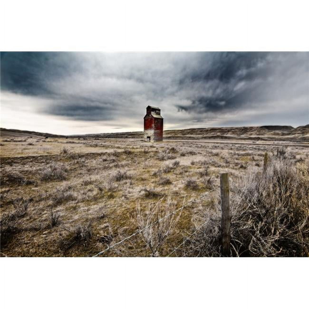 Old Grain Elevator Dorothy Alberta Canada Poster Print by Steve Nagy ...