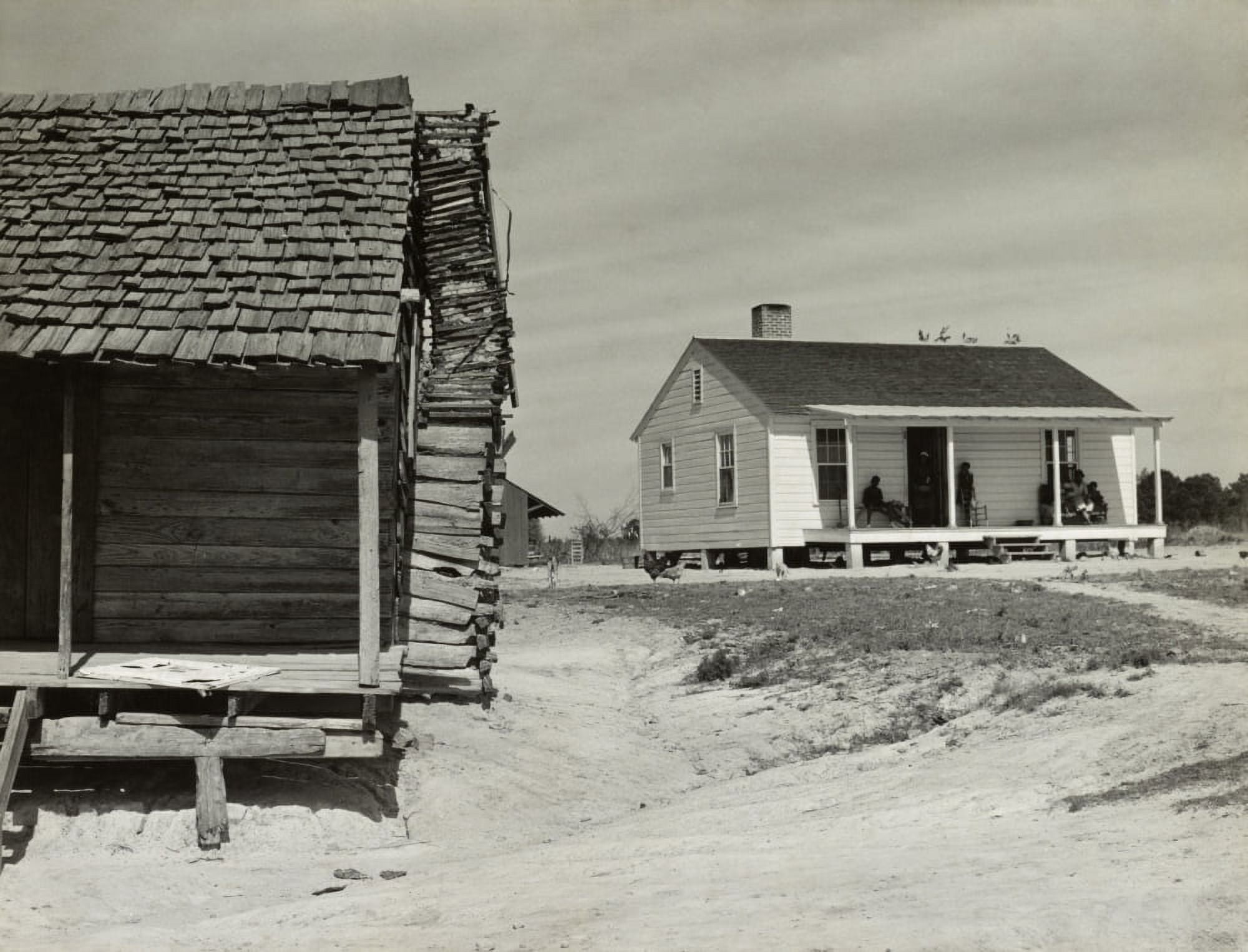 Old House And New Home Of Little Pettway'S Family History (24 x 18 ...