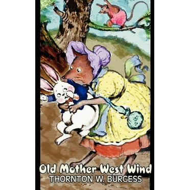 The Little Ghost Who Lost Her Boo! (Hardcover) - Walmart.com