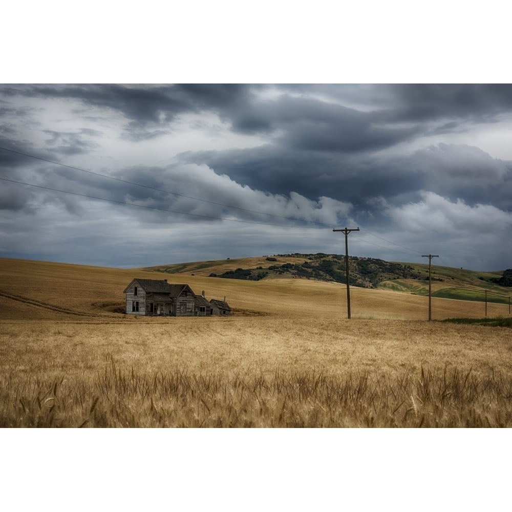 Old Rustic Wooden House In The Middle Of A Golden Field Under A Stormy ...