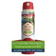 Old Spice Men's Aluminum Free Dry Spray, Fiji, 4.3 oz - Walmart.com