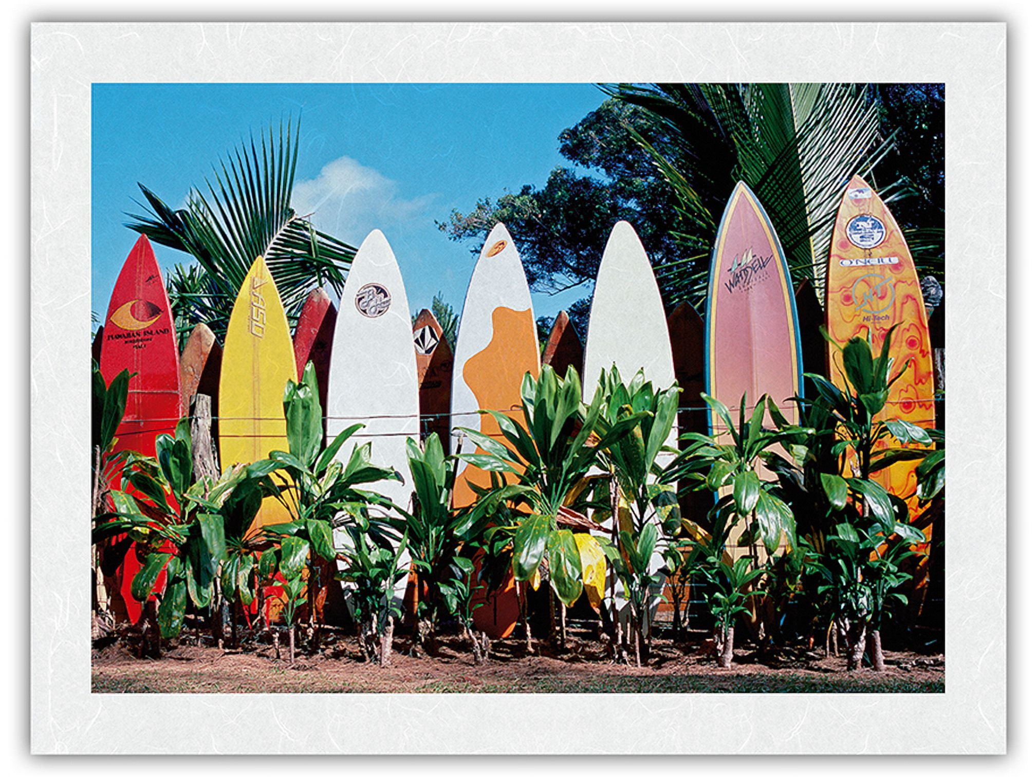 Old Surfboards Never Die - Maui Hawaii - From an Original Color ...