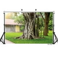Old Tree in the Park Photographic Backgrounds Custom Vinyl Photoph ...