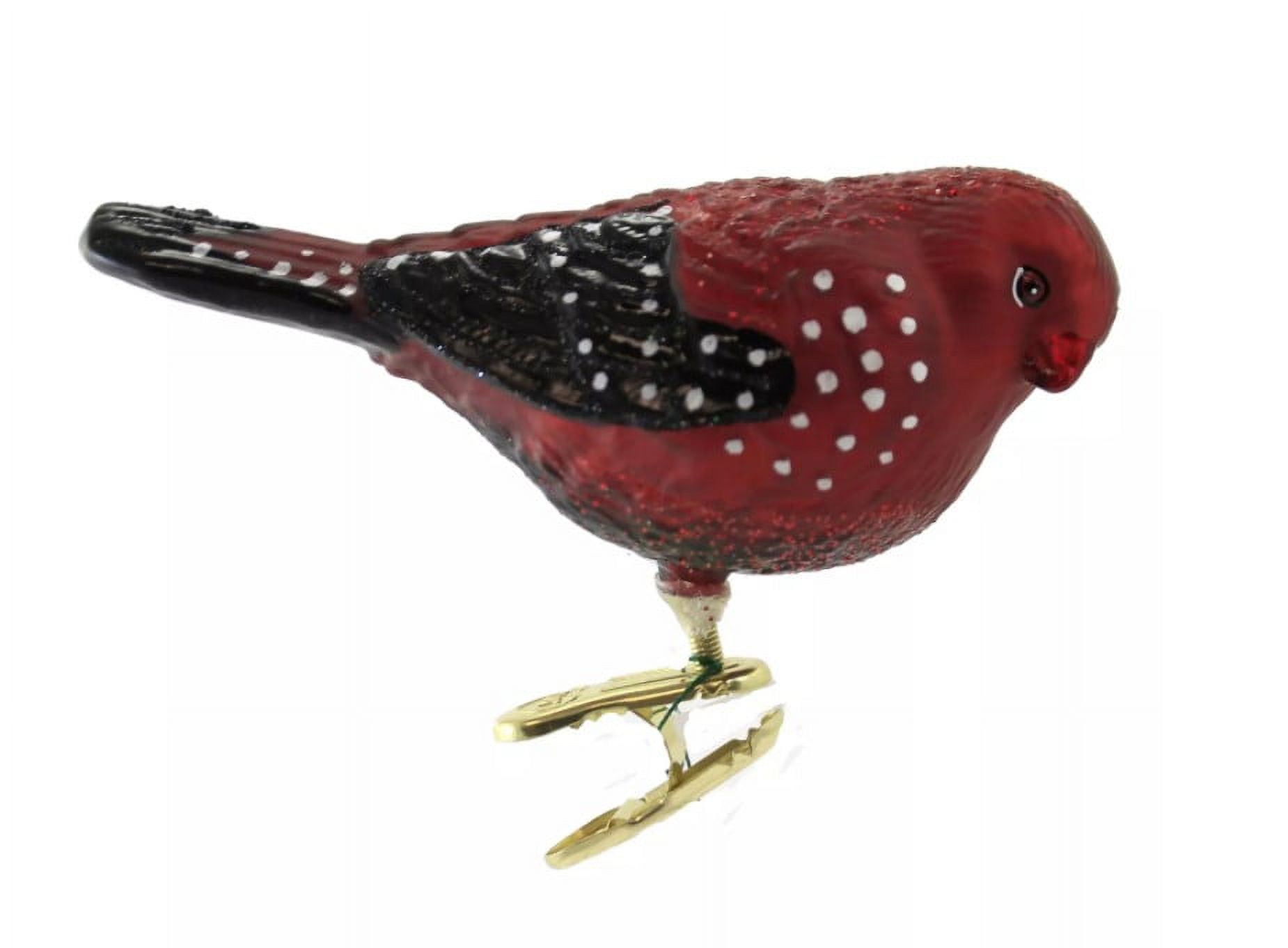 Old World (#18134) Strawberry Finch Clip-on Ornament, 3.5" - Walmart.com