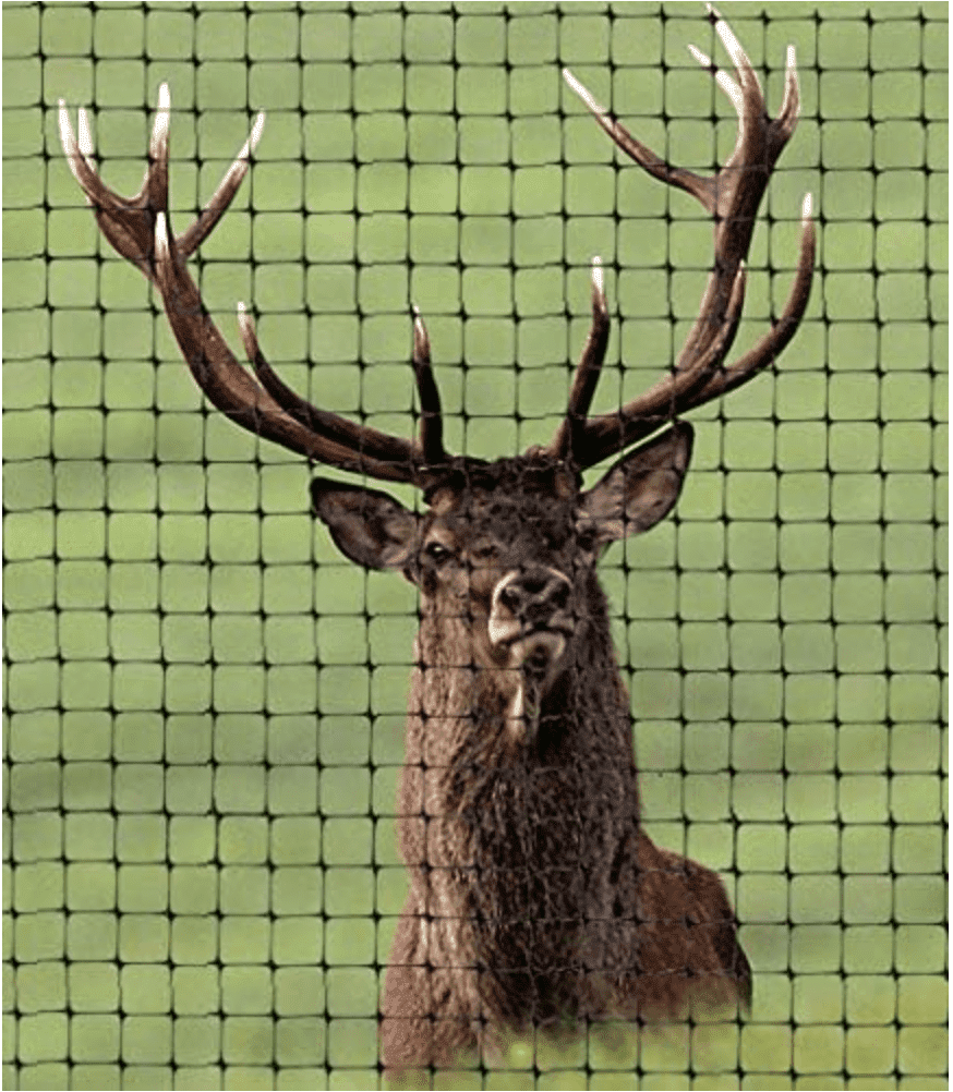 OldMacDonald Deer and Animal Fence Barrier Netting (55gr/sq m.) 7.5' x ...
