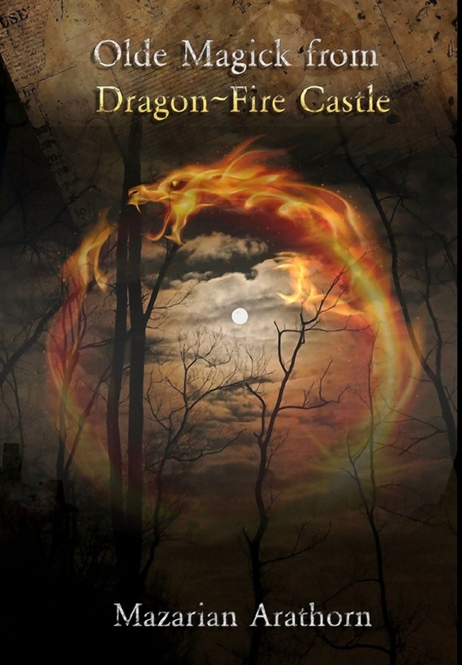 Olde Magick From Dragon-Fire Castle, (Hardcover) - Walmart Business ...
