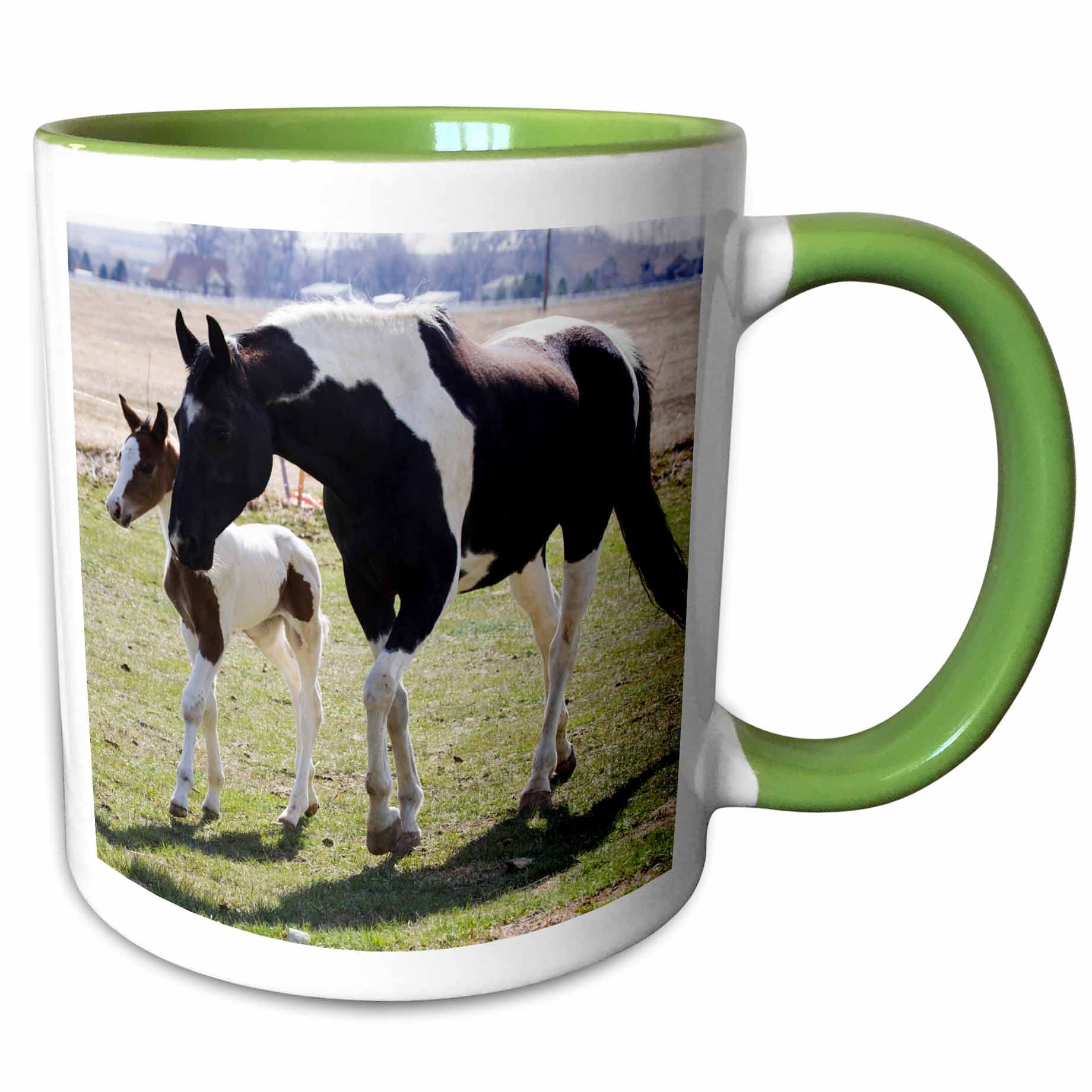 Oldenburg Warmblood mare and filly horses - NA02 PWO0050 - PiperAnne ...