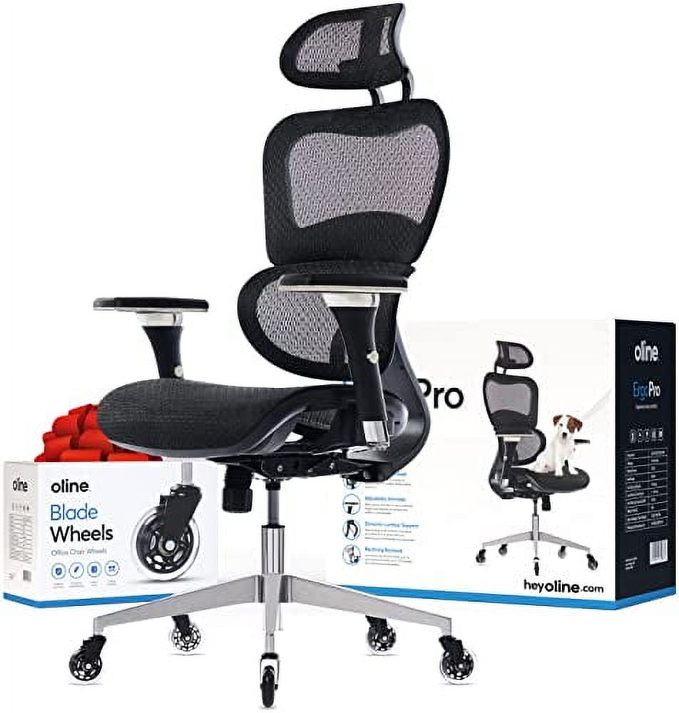 Oline ErgoPro Ergonomic Office Chair, Rolling Desk Chair with 4D Adjustable Armrest, 3D Lumbar ...