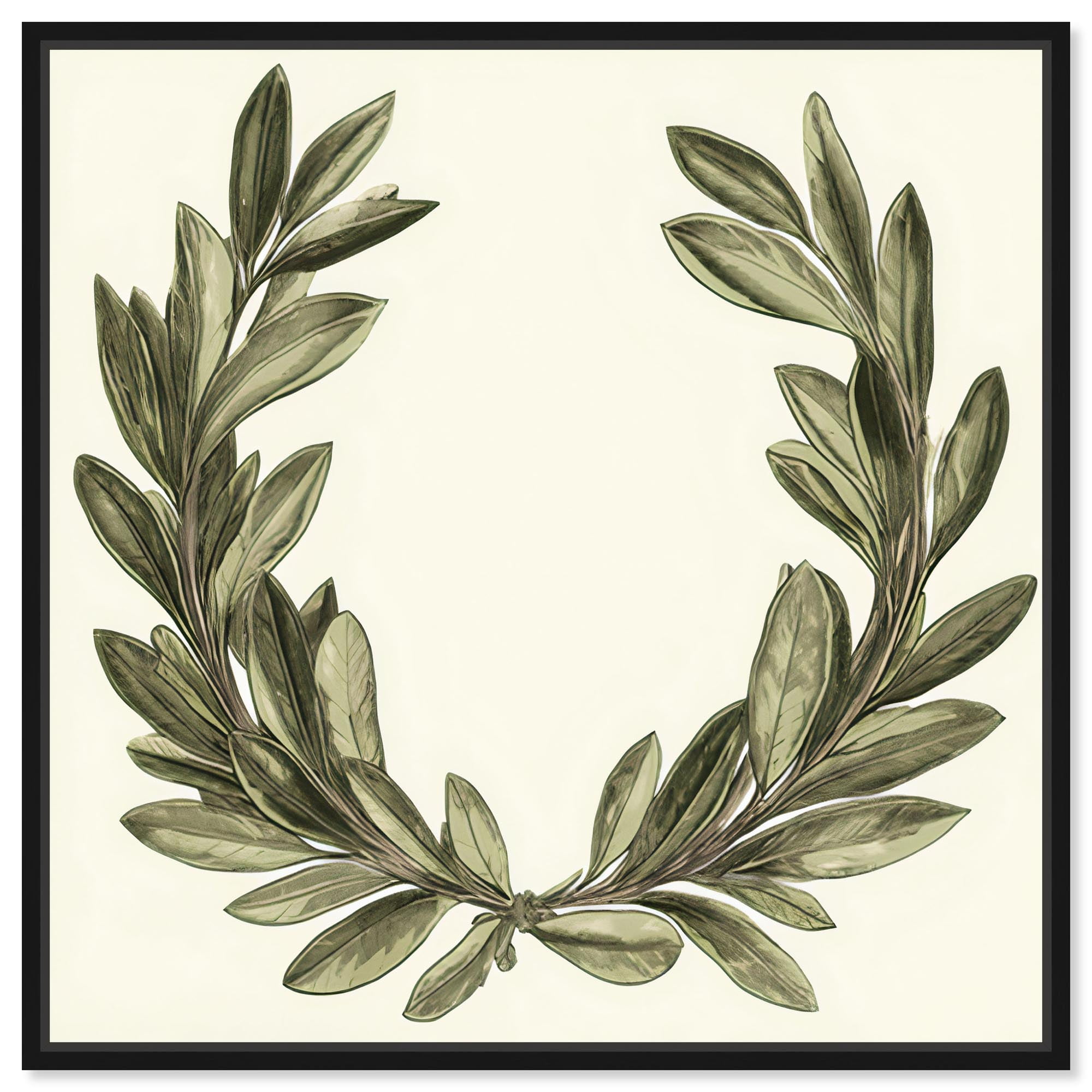 Olive Branch Legacy Canvas Vintage Botanic Art by Art Remedy, Black ...